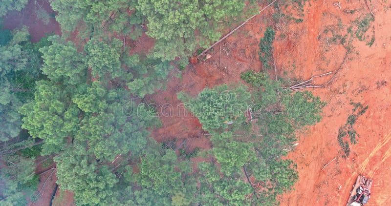 Deforestation Dozers for Deforestation and Preparing Land for ...