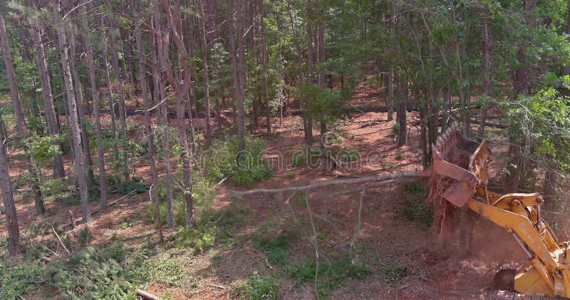 Deforestation Dozers for Deforestation and Preparing Land for ...