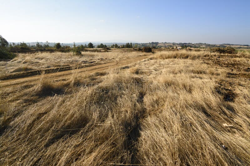 Deforestation of fields stock image. Image of logging - 181107353