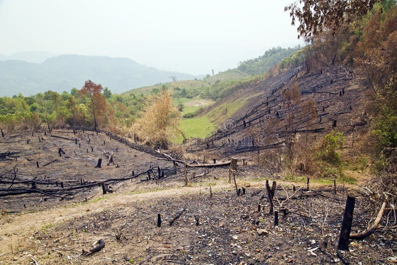 Deforestation, after Forest Fire, Natural Disaster, Laos Stock Photo ...