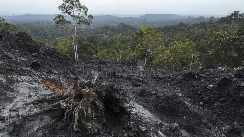 Deforestation Impact on Ecosystem Amazon Rainforest Aerial View ...