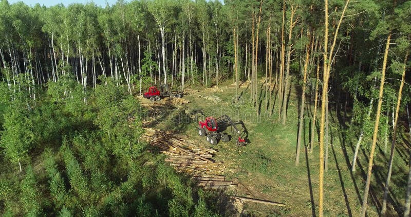 Deforestation on an Industrial Scale, Logging Aerial View ...