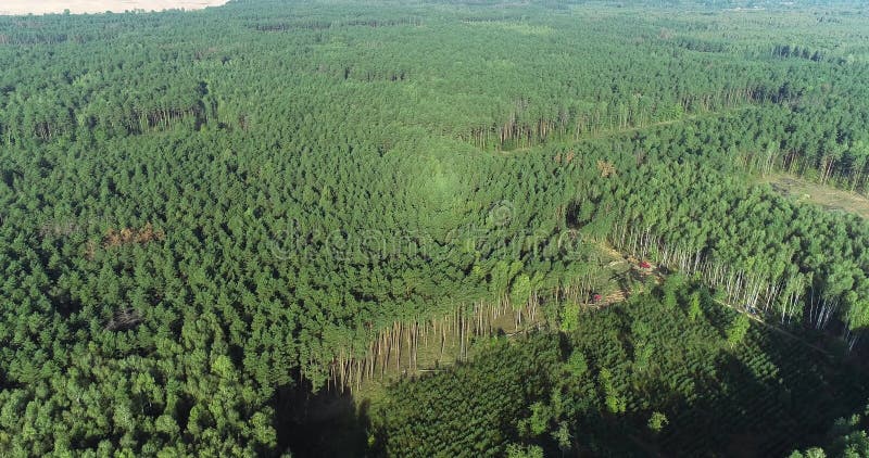 Deforestation on an Industrial Scale, Logging Aerial View ...