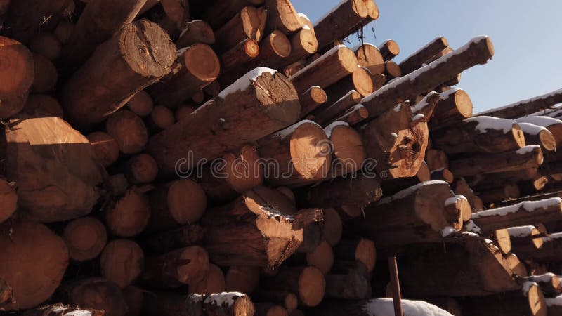 Deforestation Industry. Tree Log Piles Stacked Stock Video - Video of ...