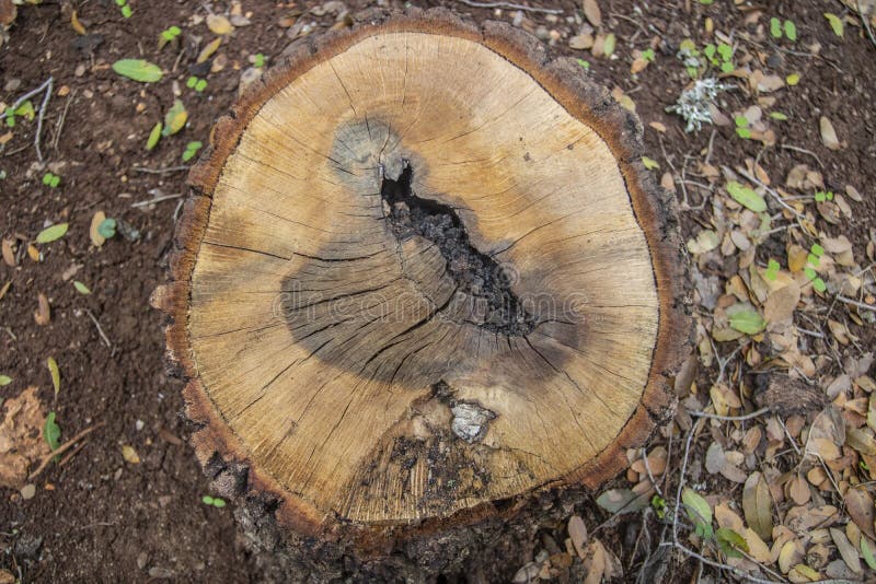 Core Issue Stock Photos - Free & Royalty-Free Stock Photos from Dreamstime