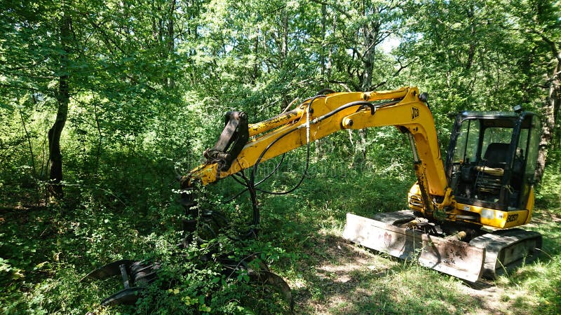 Deforestation. JCB Digger in a Forest Editorial Photography - Image of ...