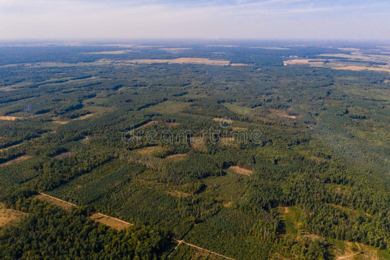 Deforestation, Large-scale Deforestation, Destruction of the ...