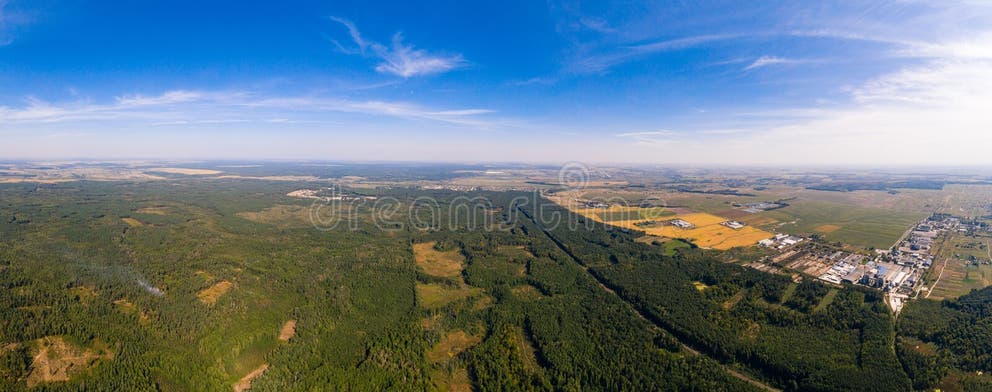 Deforestation, Large-scale Deforestation, Destruction of the ...