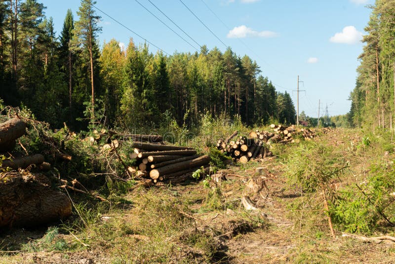 Deforestation for Laying a High-voltage Line Stock Photo - Image of ...
