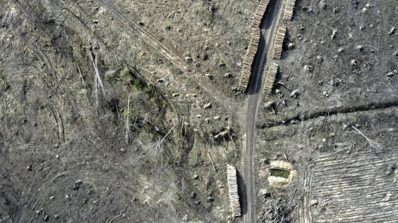 Deforestation, Logging, Environmental Destruction. Aerial View from ...