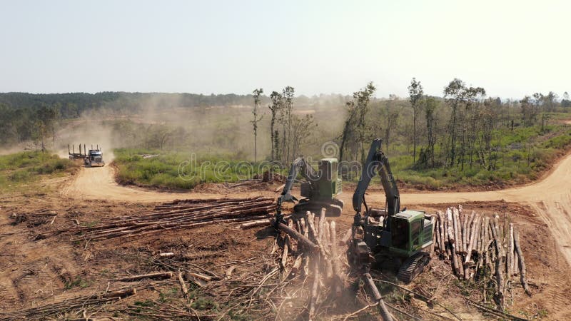 Deforestation Logging Operation Aerial View Stock Footage - Video of ...