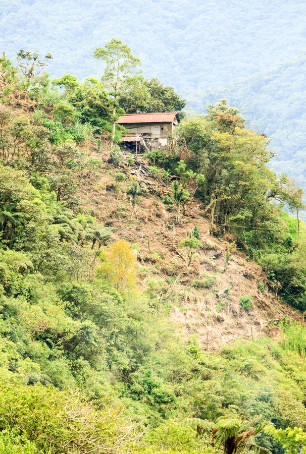 669 Deforestation Vertical Stock Photos - Free & Royalty-Free Stock ...