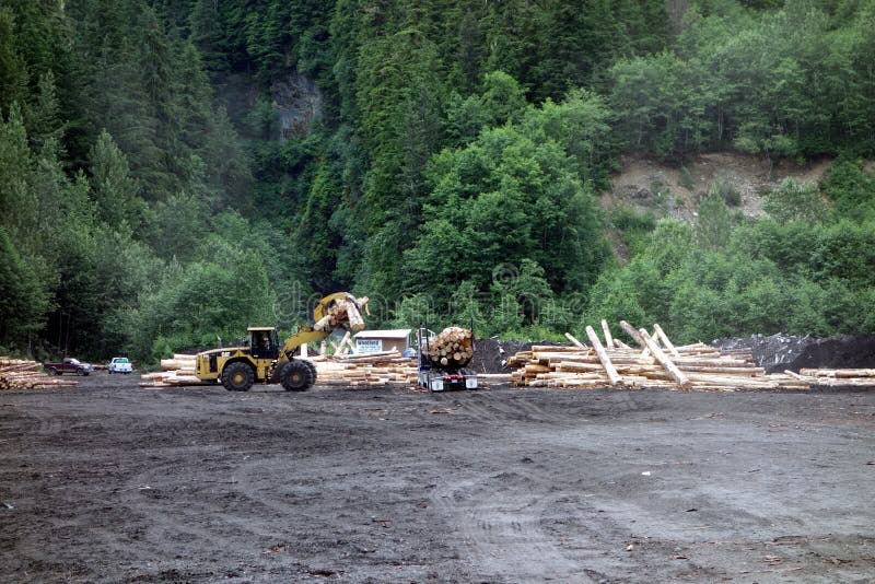 Deforestation in Northern Canada. Editorial Image - Image of tractor ...