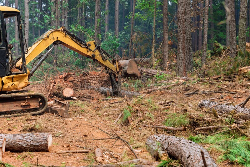 During the Deforestation Process, a Tractor Manipulator Operates To ...