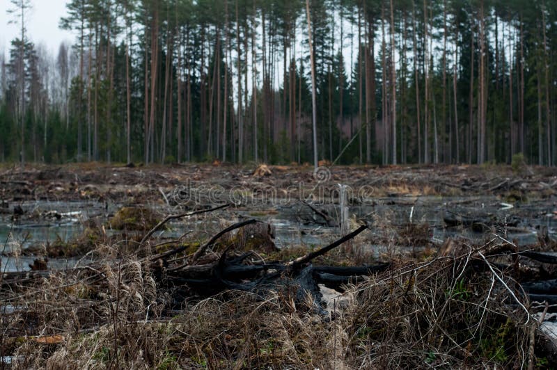 241 Deforestation Scotland Stock Photos - Free & Royalty-Free Stock ...