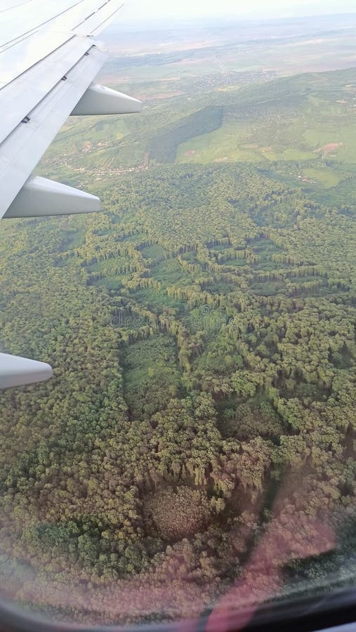 Deforestation in Romania: Bird S Eye View Stock Photo - Image of ...