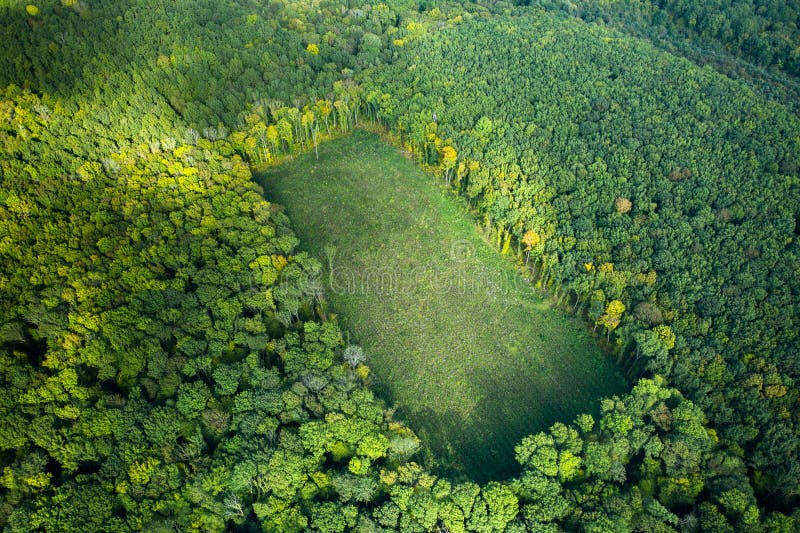 Deforestation S Impact on Global Climate Change Top View Stock Photo ...