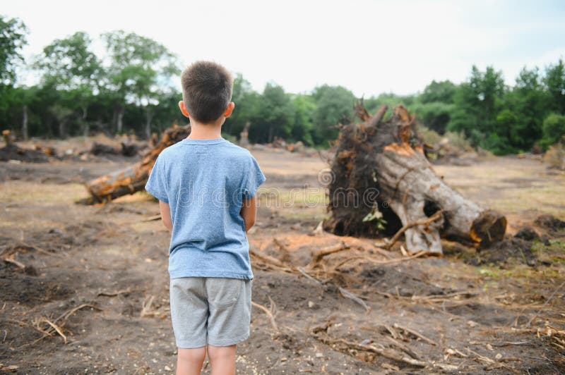 Deforestation a Sad Boy Stands in the Middle of a Cut Forest. Stock ...