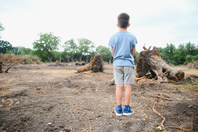 Deforestation a Sad Boy Stands in the Middle of a Cut Forest. Stock ...