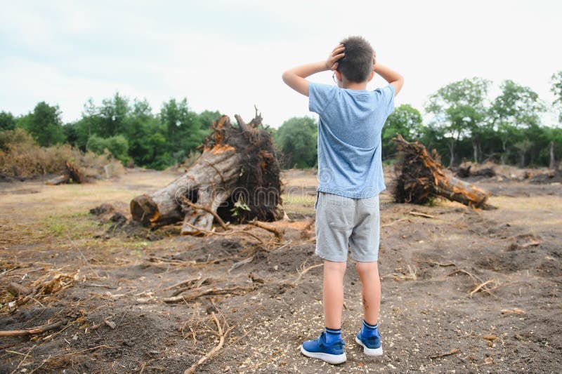 Deforestation a Sad Boy Stands in the Middle of a Cut Forest. Stock ...