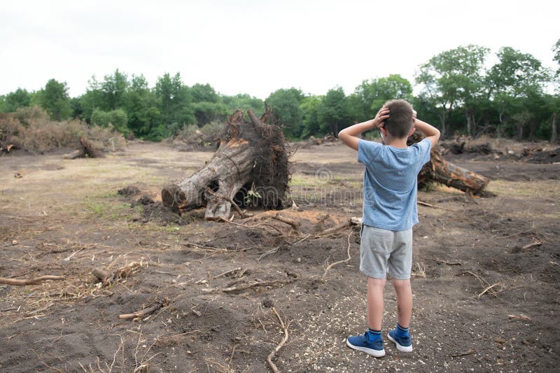Deforestation a Sad Boy Stands in the Middle of a Cut Forest. Stock ...