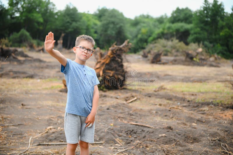 397 Sad Deforestation Stock Photos - Free & Royalty-Free Stock Photos ...