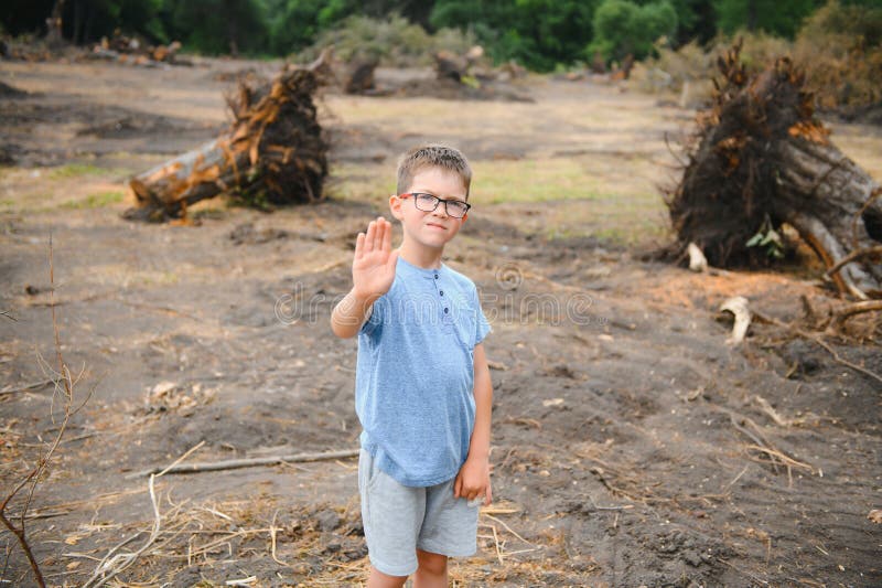 Deforestation a Sad Boy Stands in the Middle of a Cut Forest. Stock ...
