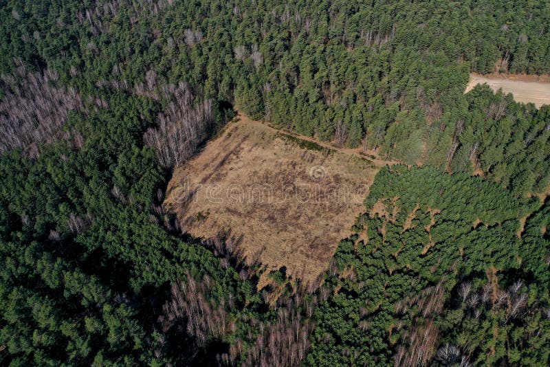 Deforestation Top View Aerial Photography from a Drone Stock Image ...