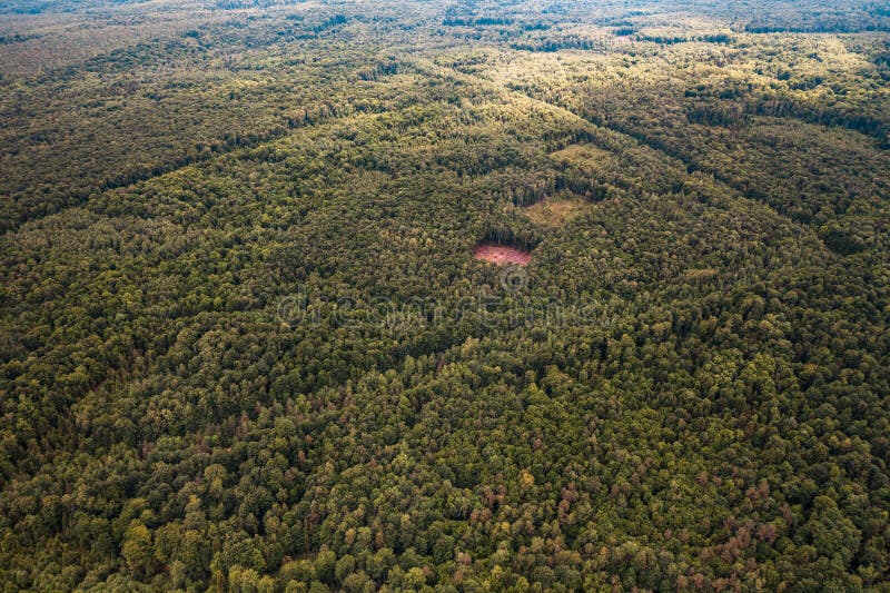 Deforestation by Total Illegal Logging, Top View. Stock Photo - Image ...