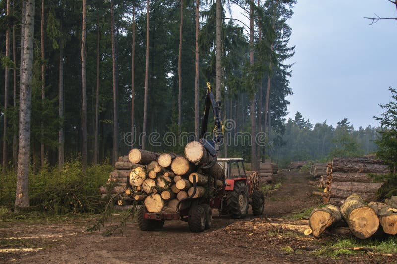 Deforestation stock photo. Image of logs, deforestation - 92446822
