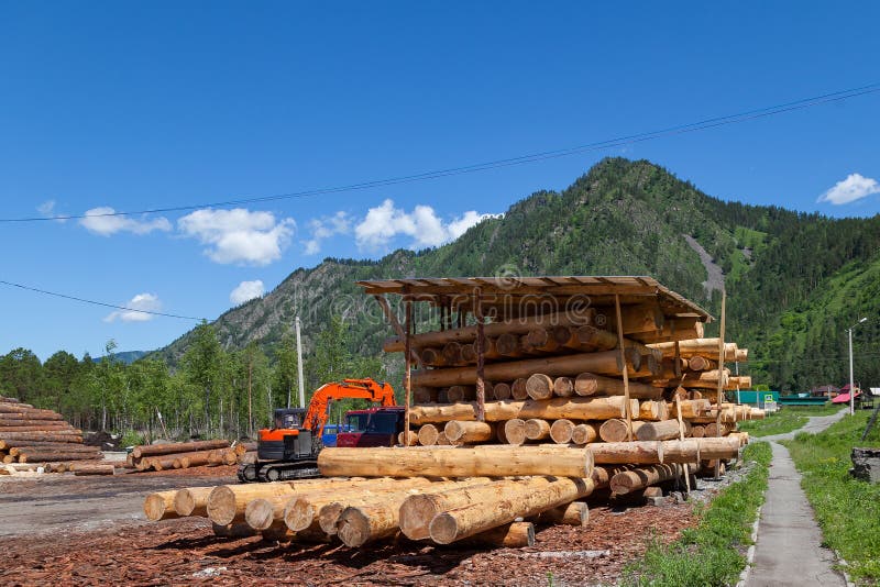 Deforestation and Woodworking for Constructions Stock Photo - Image of ...
