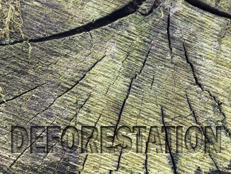 Deforestation Word Engraved on the Surface of a Cut Log Stock Photo ...