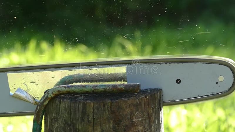 Deforestation, Worker Cuts a Felled Tree Trunk with a Chainsaw. Rugged ...