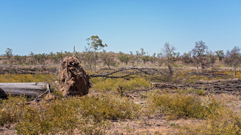 511 Deforestation Australia Stock Photos - Free & Royalty-Free Stock ...
