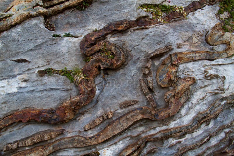 Deformed, Curved Layers in Rock Stock Image - Image of layer, detail ...