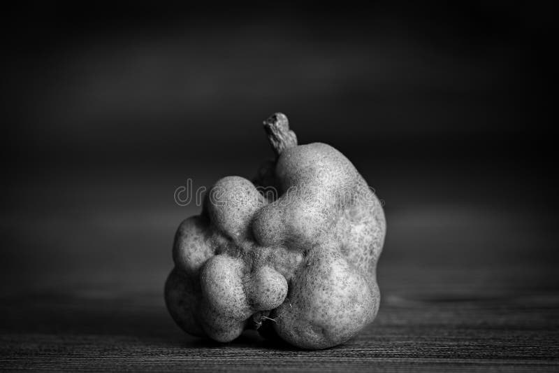 Deformed, Malformed or Atypical Fruit, Pear in Studio Stock Image ...