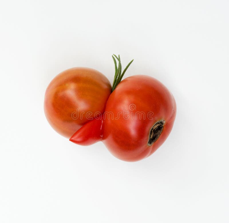 Deformed Tomatoes stock photo. Image of foodstuff, background - 78126122