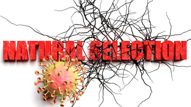 Natural Selection Vector Illustration. Explained Scheme with Life ... Natural Selection Vector Illustration. Explained Scheme with Life ...