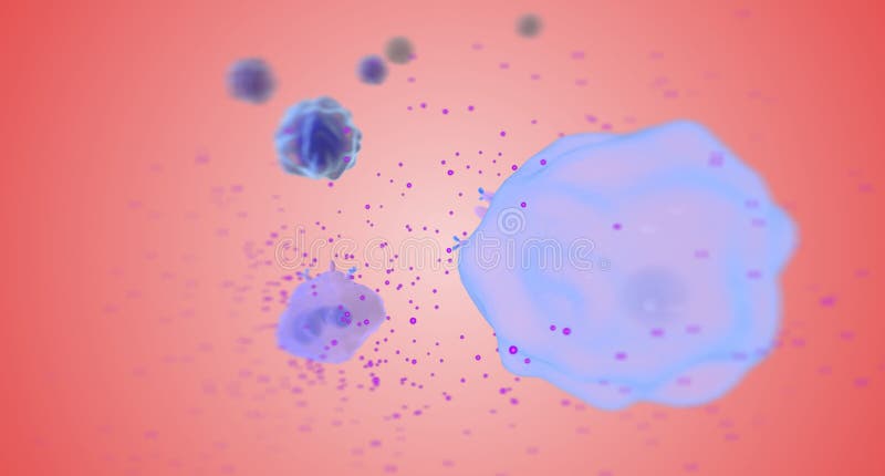 Degranulation of Mast Cells and Basophils Stock Illustration ...