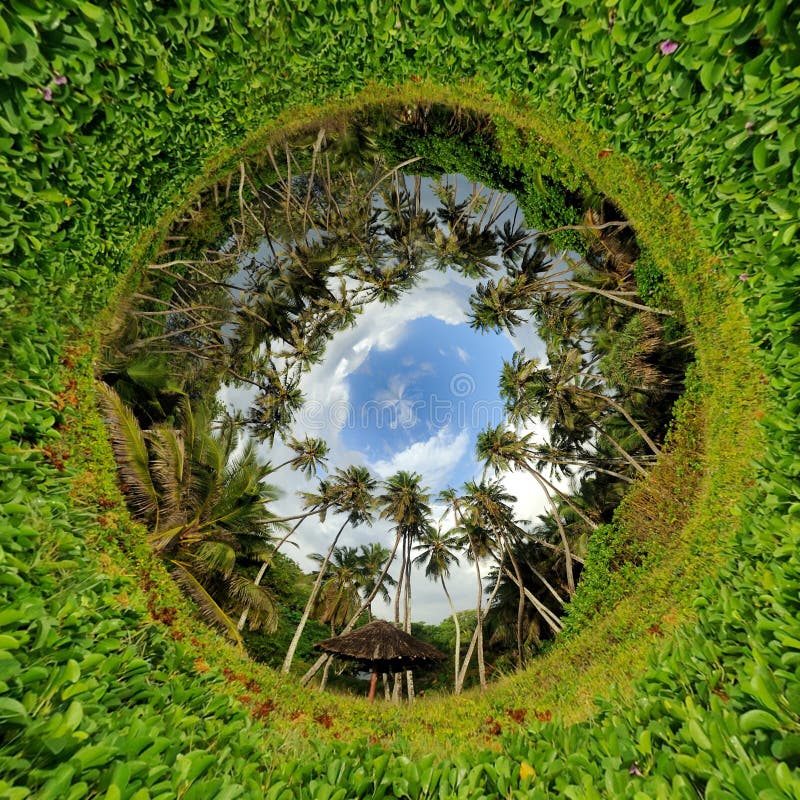 360 Degree View of Landscape with Tree in Africa Stock Photo - Image of ...