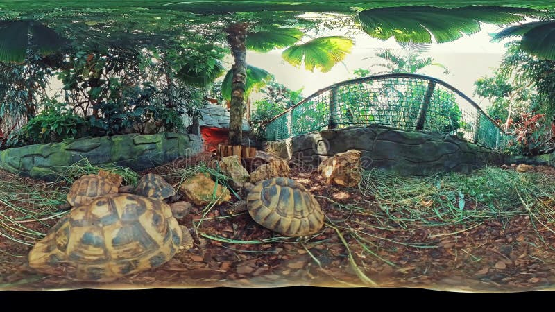 A 360-Degree View of the Inside of a Turtle Enclosure at the Zoo Stock ...