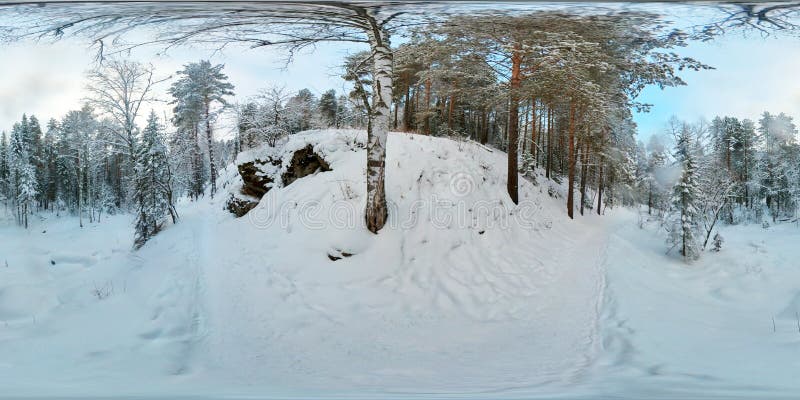 360 degree winter forest stock photo. Image of frost - 241846610