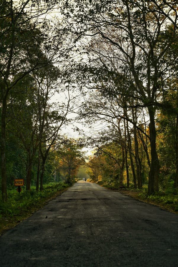 Patkai National Park Stock Photos - Free & Royalty-Free Stock Photos ...