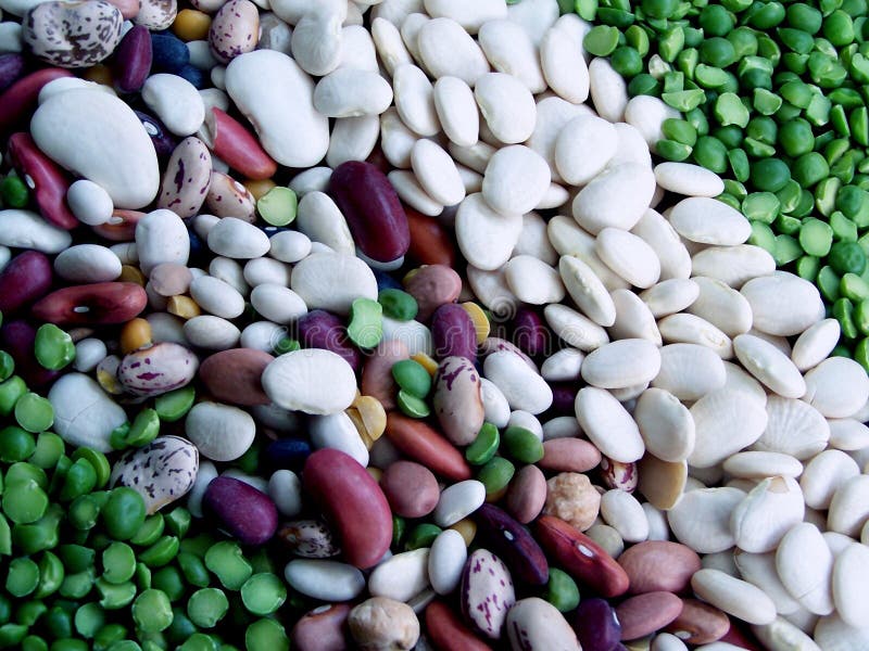 Dehydrated beans. stock photo. Image of bake, chili, lentil - 379724