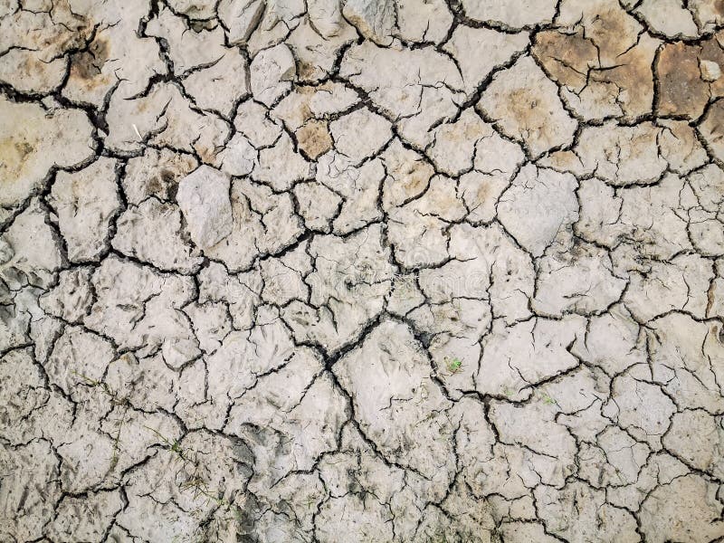 Dehydrated and Cracked Earth Surface by the Drought Stock Photo - Image ...
