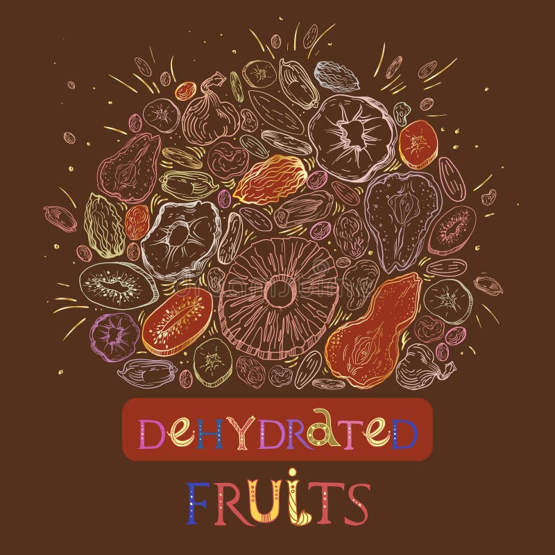 Dehydrated fruit pattern stock vector. Illustration of engraved - 127375234