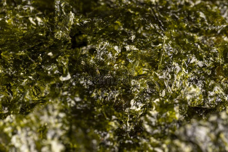 Dehydrated Green Algae Used Asian Cuisine Thin Table Seafood Cooking ...