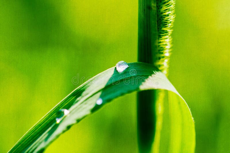 Deje el mundo ser limpio imagen de archivo. Imagen de belleza - 42385051