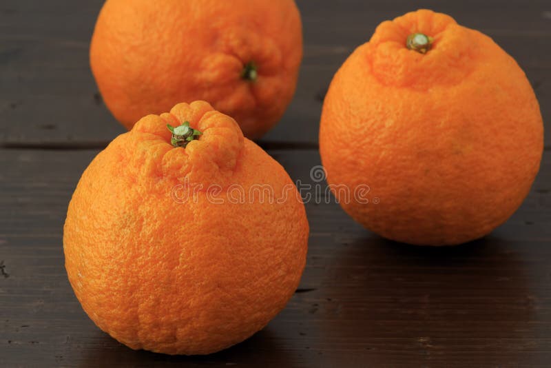 Dekopon stock photo. Image of dekopon, kind, orange, life - 65081472