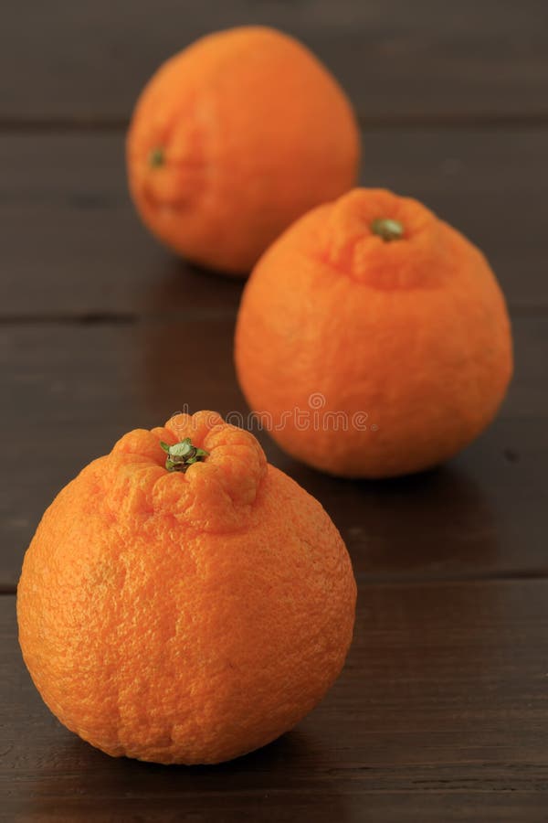 Dekopon , Japanese High Quality Citrus Fruit Stock Photo - Image of ...